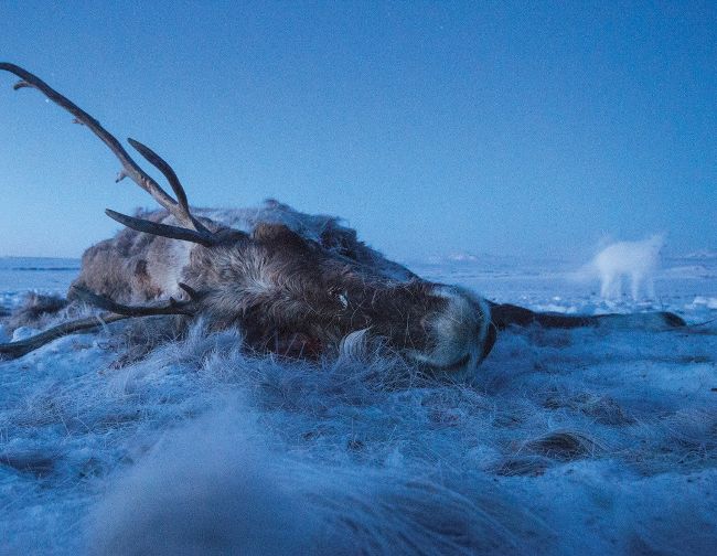 YUKON Ghosts | Canadian Geographic Jan/Feb 2026