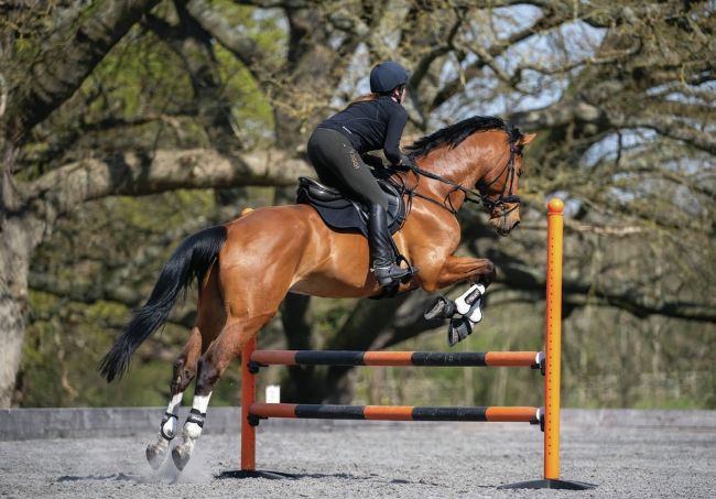 What can I include in my warm-up to get my horse ready for a jumping ...