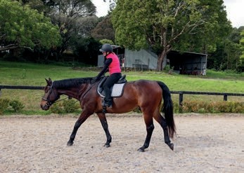 9 NEW THINGS to master this month | Horse&Rider Magazine - UK ...