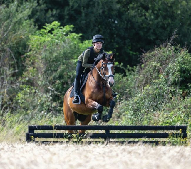 THE 4 PONY PERSONALITIES | Pony Magazine PONY Magazine – May 2025