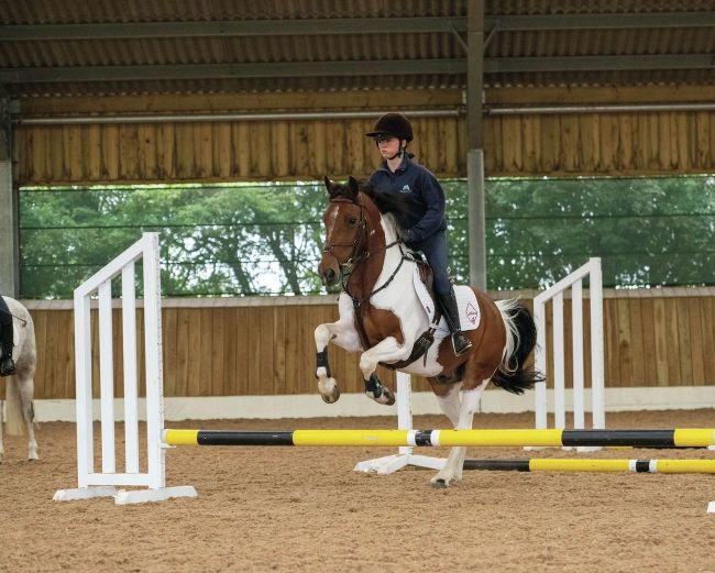 JUMPING ON THE DIAGONAL | Pony Magazine PONY Magazine – February 2026