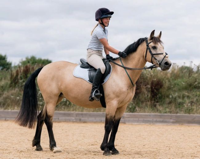 POLEWORK IN PROGRESS | Pony Magazine PONY Magazine – February 2026