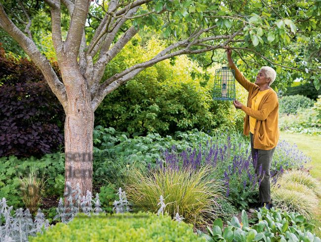 The 5 senses of gardening… SOUND | BBC Gardeners’ World Magazine ...