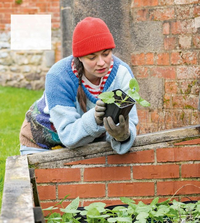 NO-FEAR GARDENING | BBC Gardeners’ World Magazine Feb-26