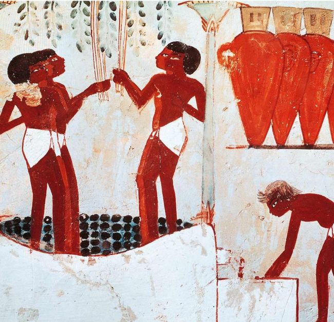 Egypt’s grape expectations | History Extra Magazine May 2025