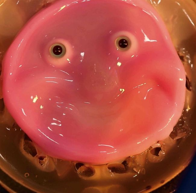THIS CREEPY ROBOT FACE IS MADE FROM LIVING HUMAN SKIN CELLS | BBC ...