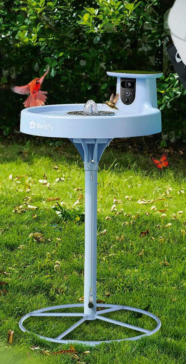 The 10 WEIRDEST Gadgets From CES 2025 | BBC Science Focus Magazine ...