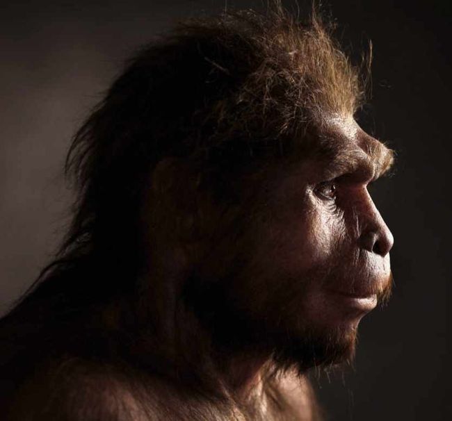 THE OTHER HUMANS | BBC Science Focus Magazine Summer 2025