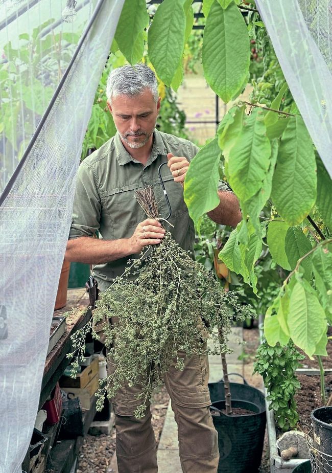 PRESERVING THE POWER OF HERBS | Kitchen Garden Magazine December 2025