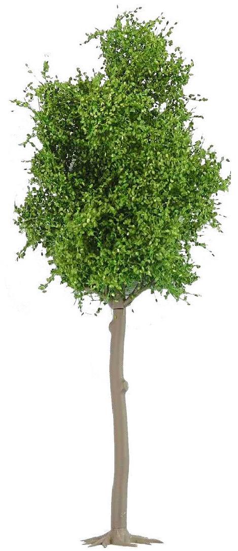NEW SPECIMEN LIME TREE FROM BUSCH | Model Rail Mar-24