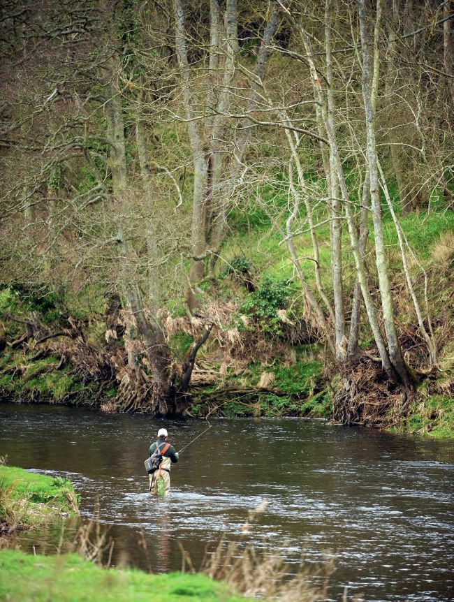 FISHING REPORTS | Trout & Salmon Spring 2026