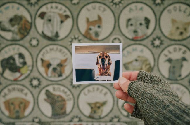 How to shoot like Wes Anderson | Digital Camera Magazine December 2025