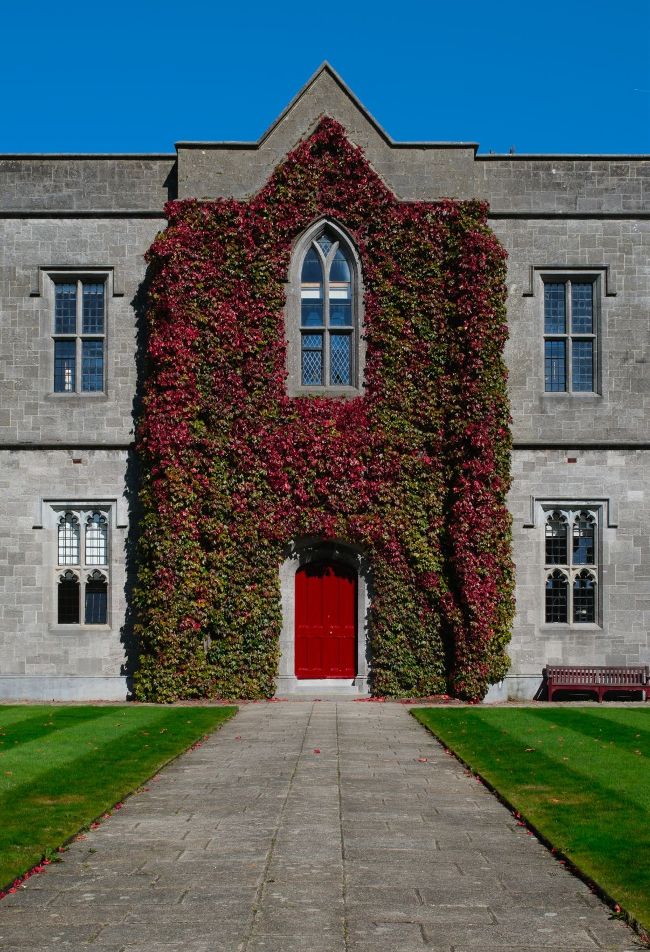 Master colour control | Digital Camera Magazine February 2026