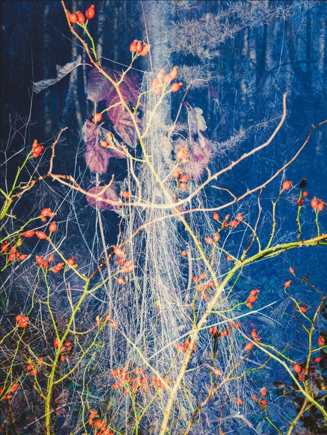 The art of seeing | Digital Camera Magazine April 2026