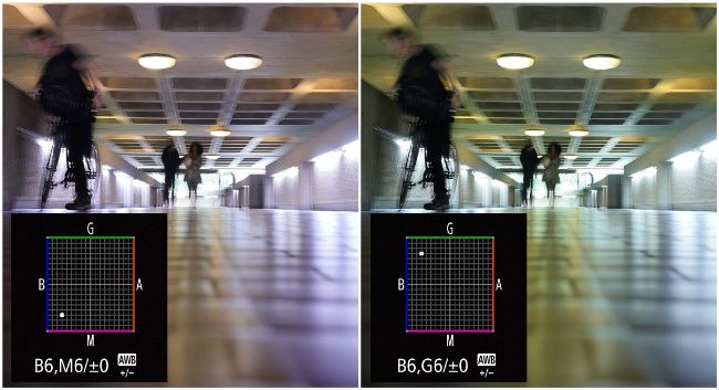 Could you explain how white balance shift affects images, and what white balance bracketing is ...