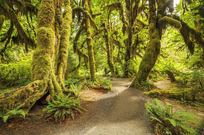 10 PRO WAYS TO MAXIMISE IMAGE QUALITY | Photography Week Issue 596