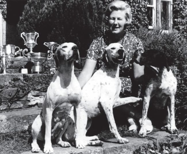 Lady Jean and her love of pointers | Arran Banner 11 November 2017