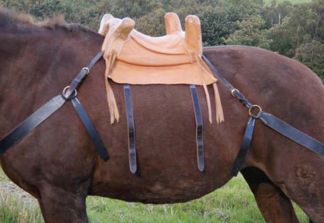 THE ROMAN CAVALRY IN SCOTLAND | History Scotland Jan - Feb 2019
