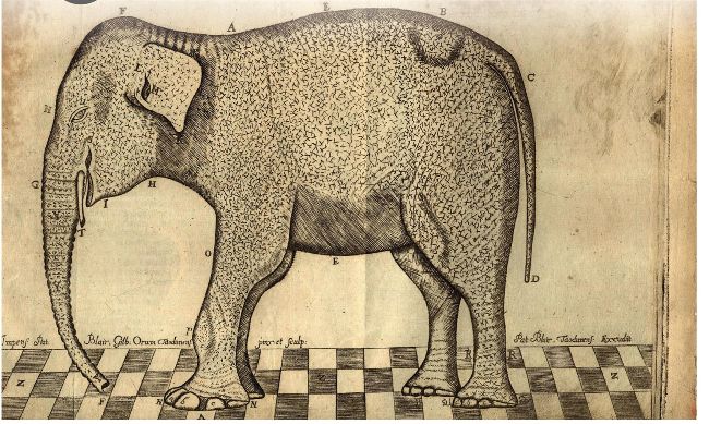 DR BLAIR and the ELEPHANT PART 2 | History Scotland Summer 24