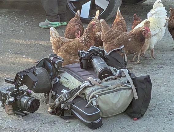 Bel Jacobs | Vegan Food & Living Magazine Feb 2025