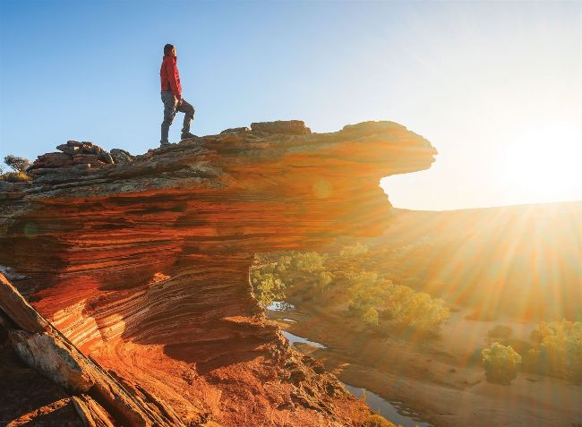 HOW TO SURVIVE THE AUSTRALIAN OUTBACK | How It Works Issue 187