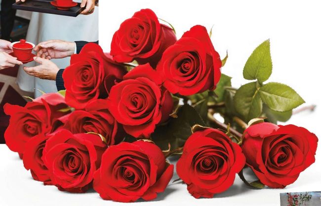 HOW TO DATE AROUND THE WORLD | How It Works Issue 212