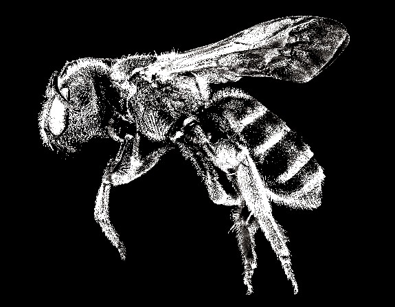 HOARD ALMIGHTY | Metal Hammer Issue 408