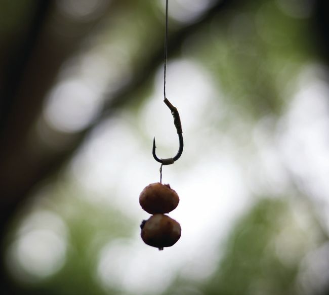 The Flipper Rig According To Terry Hearn | CARPology Magazine Issue 222—May