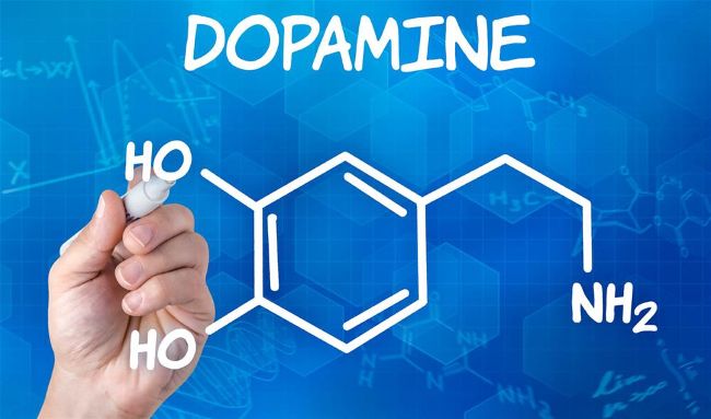 Why You Need to Know About Dopamine and Autism | Autism Parenting Issue 130