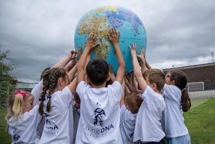 DNA project to build a worldwide family tree | Family Tree Family Tree ...