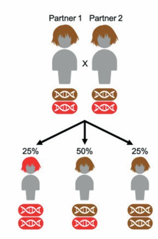 SOME DNA MYTHS & MISCONCEPTIONS BUSTED! | Family Tree June 2025