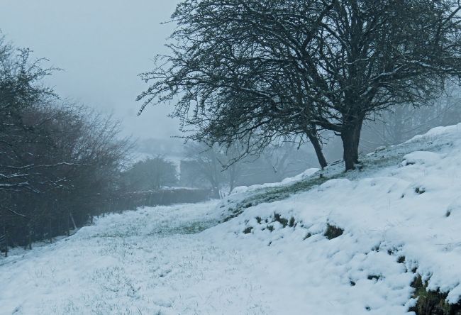 Snow-filled scenery | Leisure Painter & The Artist January 2026