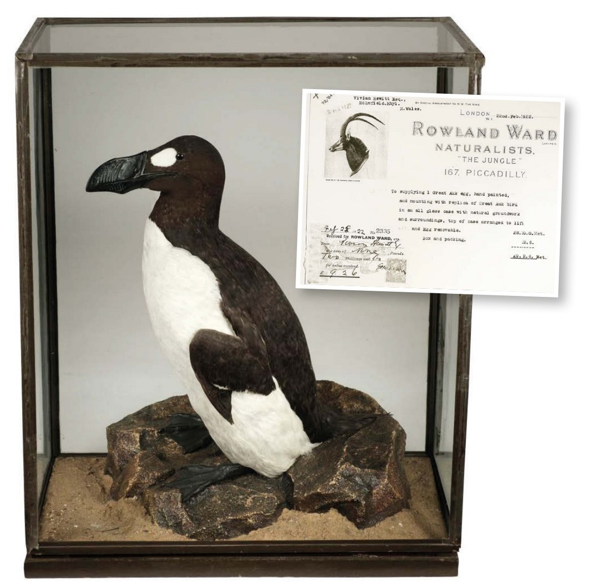 Pick Of The Week Replica Great Auk Is Real Winner At Auction
